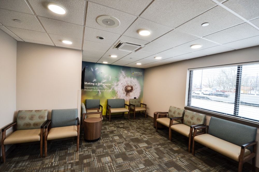 Chestnut Health Systems